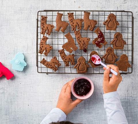 Tierli-Schoggi-Guetzli - Rezepte | little FOOBY